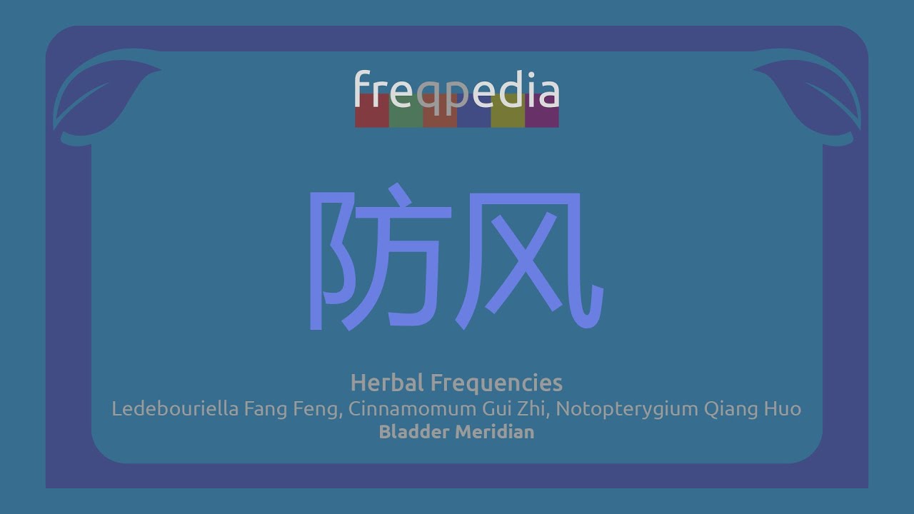 musculoskeletal involvement/rheumatic Fang Feng, Gui Zhi, Qiang Huo - YouTube