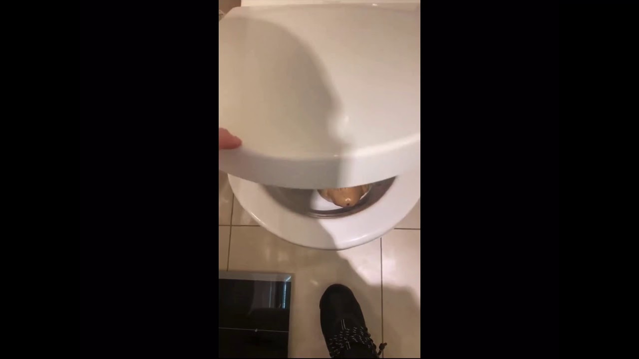 HEAD IN THE TOILET PRANK 😂😂😈😈 - YouTube