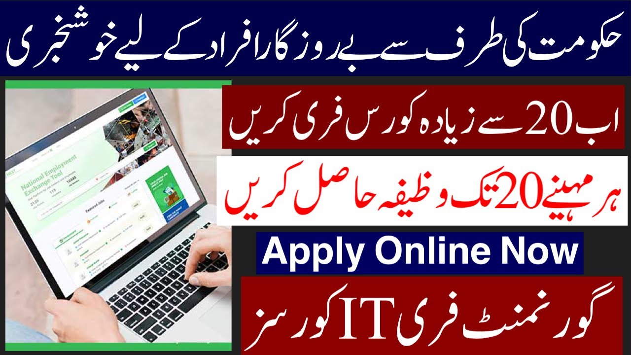 Punjab government skills development program details 2025[It skills ...