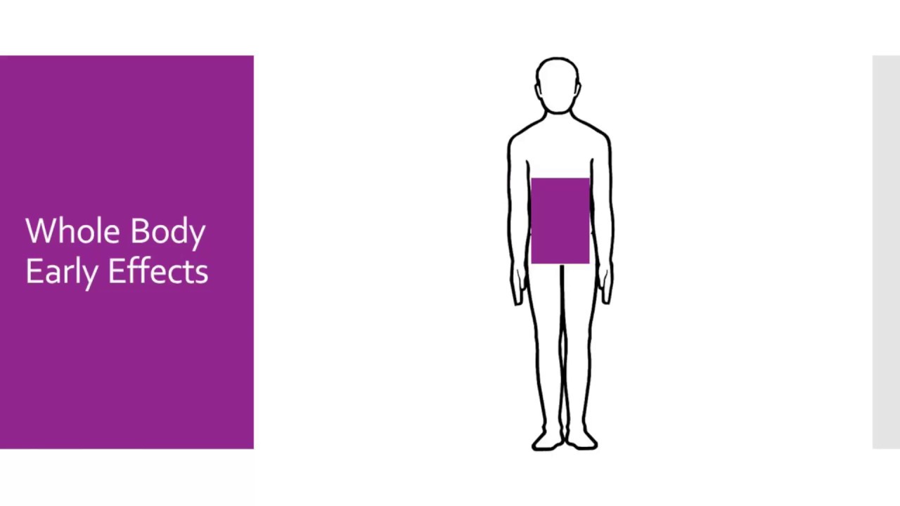 Radiation Effects on the Body Early Effects - YouTube