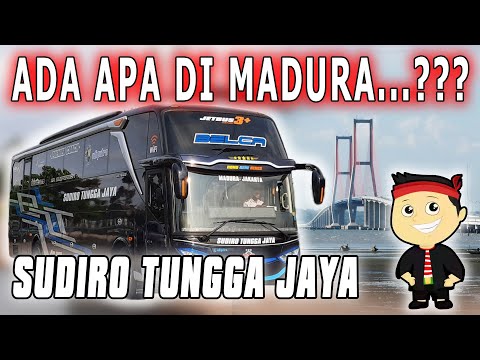 BUS SUDIRO TUNGGA JAYA DI TRAYEK MADURA - BUS TRAYEK MADURA - DAYA TARIK MADURA