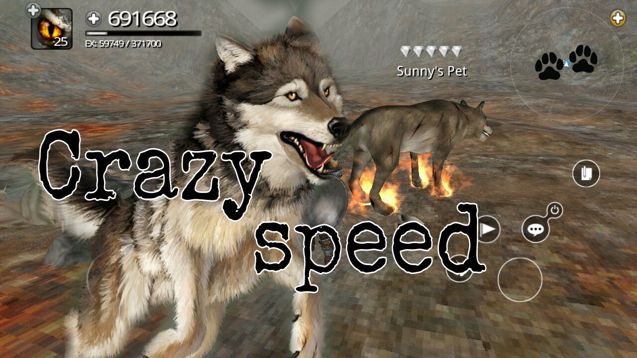 Wolf Online speed test - YouTube