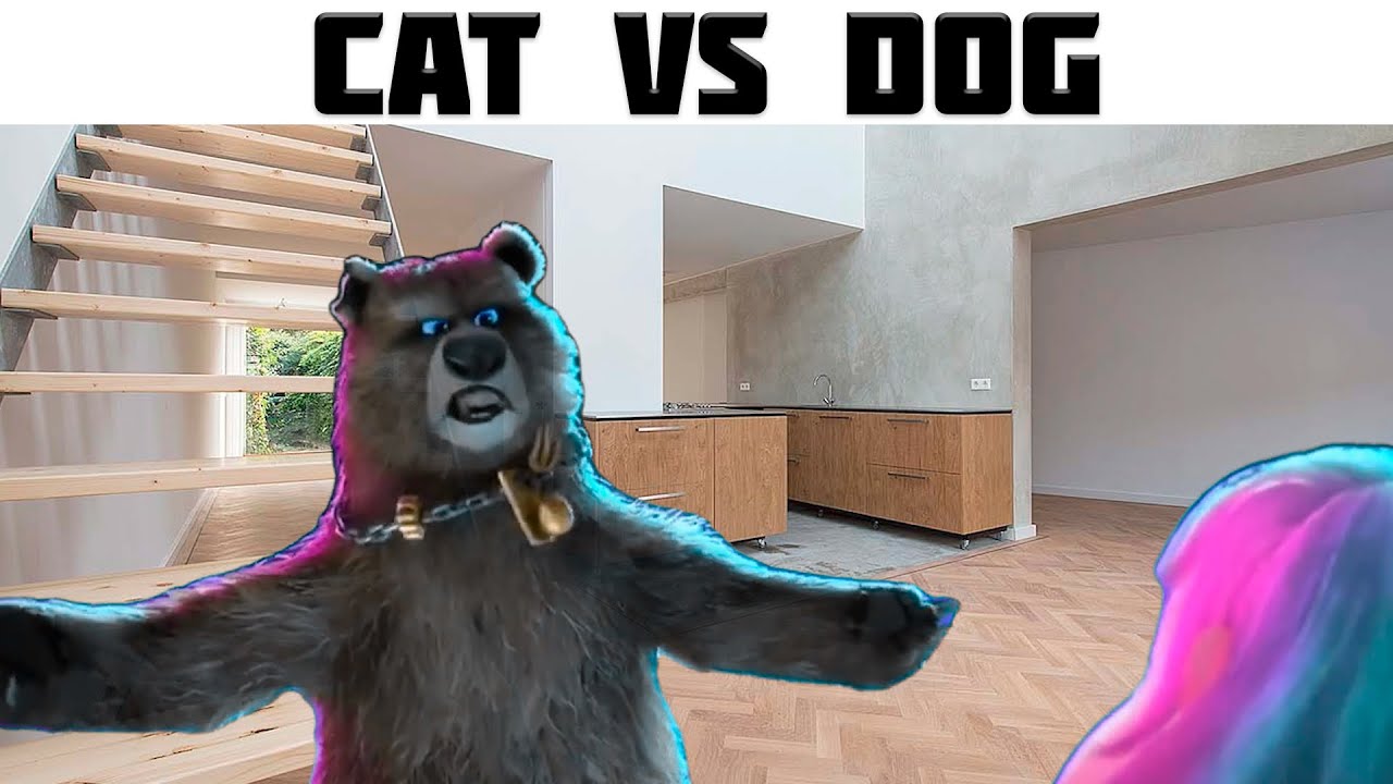 Cat VS Dog - YouTube