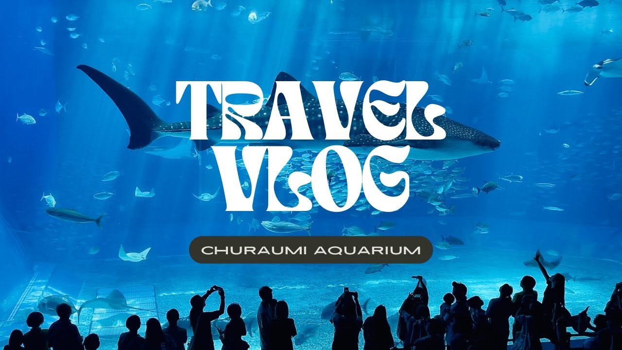 美ら(Chura)=Beautiful, 海(Umi)=Ocean #沖縄美ら海水族館 #aquarium - YouTube