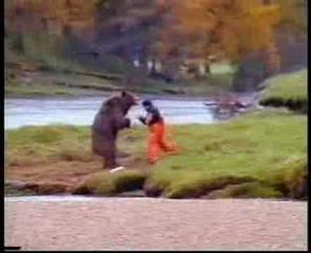 Oso luchador - YouTube