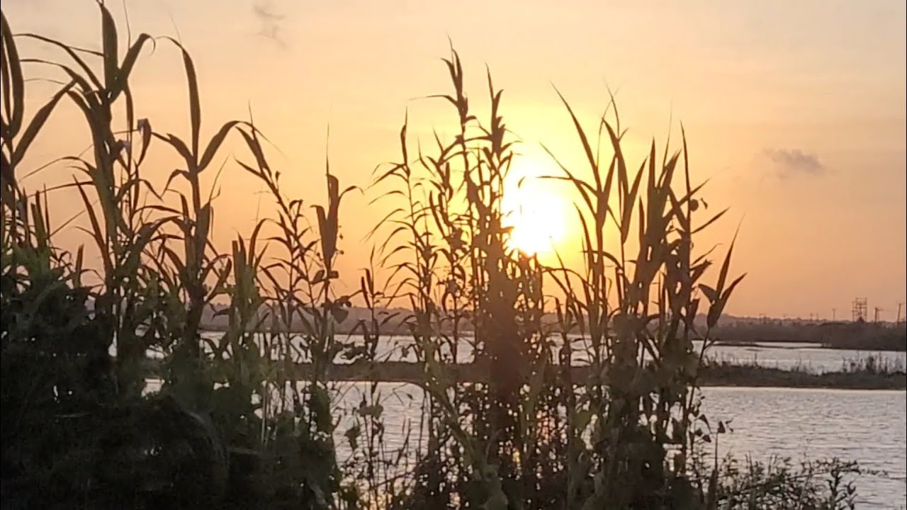 pullu paadam thrissur, beautiful place to visit - YouTube