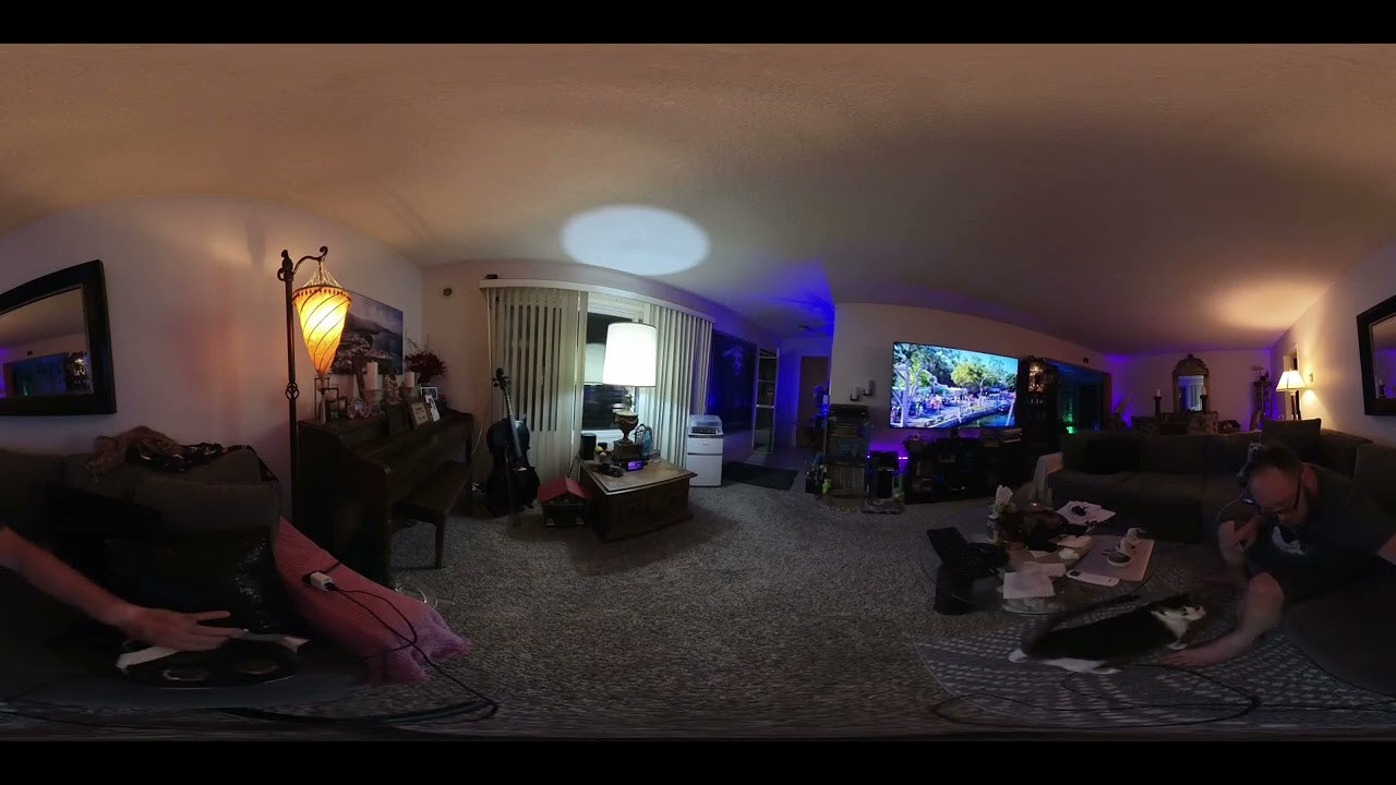 Kitty cat 360 test - YouTube