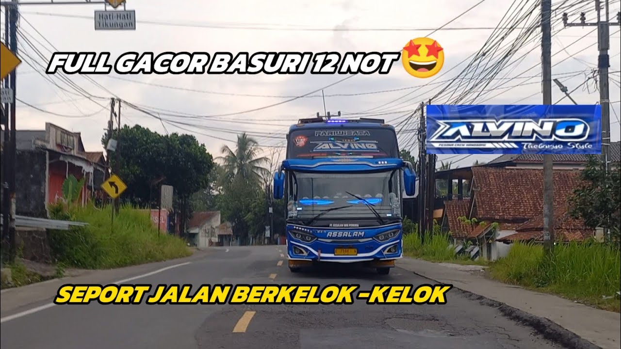 ALVINO SELALU GACOR TELOLET BASURI 12 NOT 🤩 - YouTube