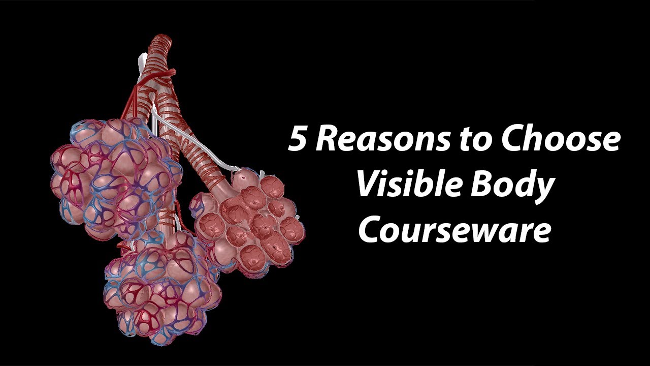 5 Reasons to Choose Visible Body Courseware - YouTube