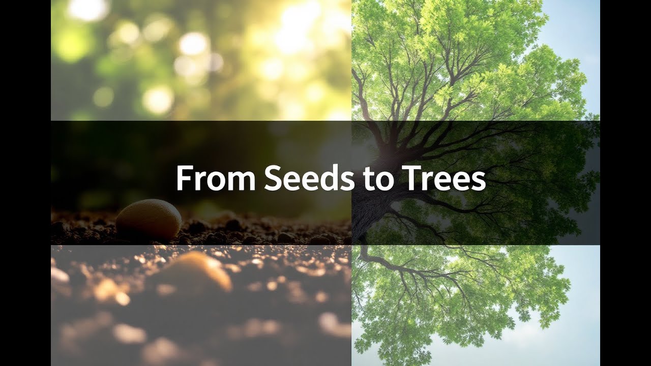 From Seeds to Trees | Sermon by Pastor Will - YouTube