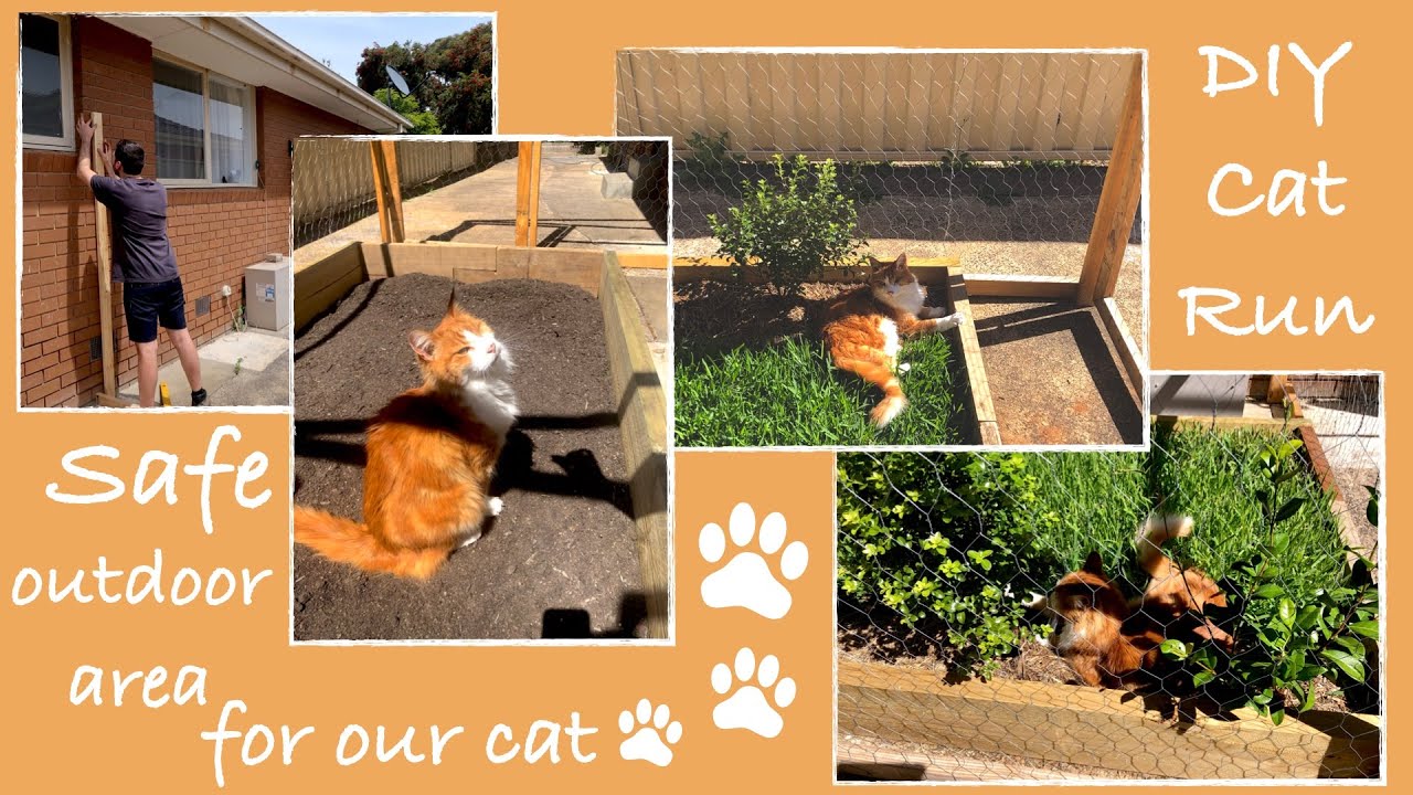DIY Cat Run/Catio - YouTube