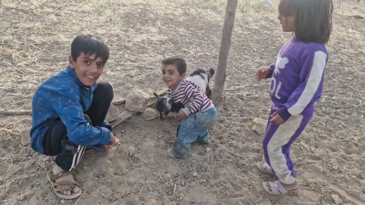 Engineer Babazadeh's assistance to the tent-dwelling family of Isa ...