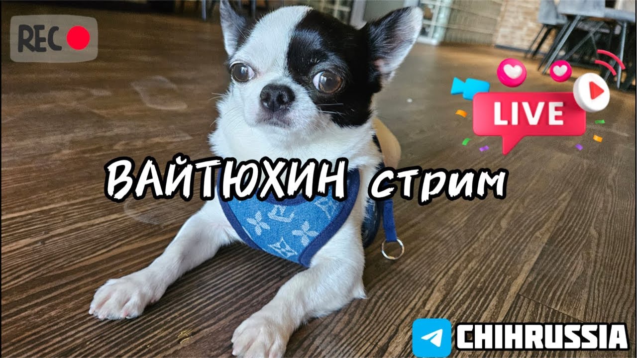 Мистер Вайт идет в офис ‼️ - YouTube