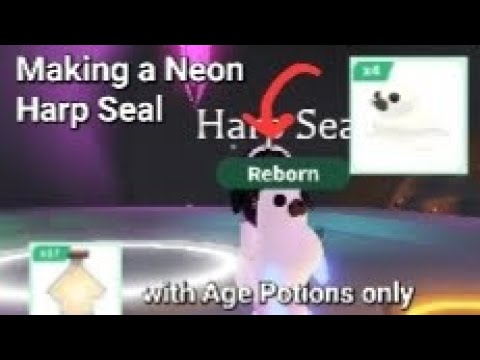 Making a Neon Harp Seal🌈🦭 (with Age Potions only) | Adopt Me - YouTube