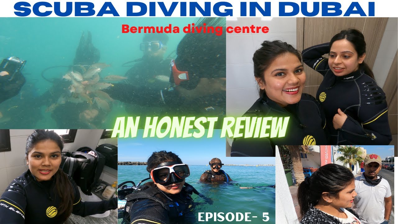 Scuba diving || Bermuda diving centre || Dubai || fish feeding - YouTube