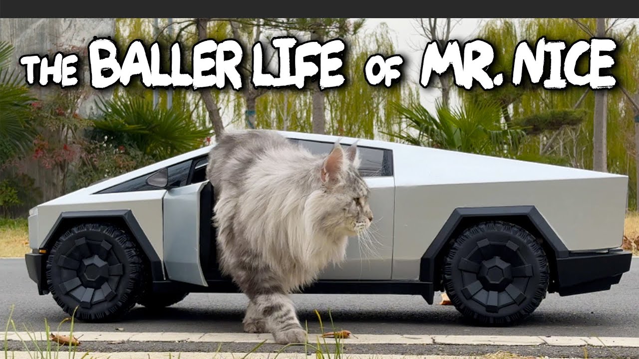 Mr. Nice Hits up the Spa After His Photoshoot #ballerlife - YouTube