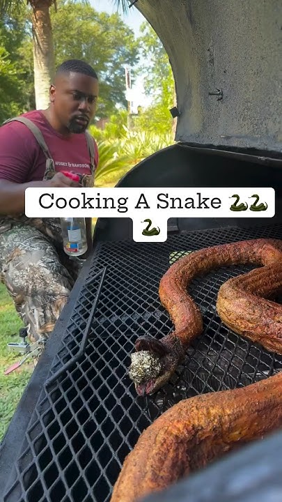 Cooking Python 🐍 would you try this? - YouTube