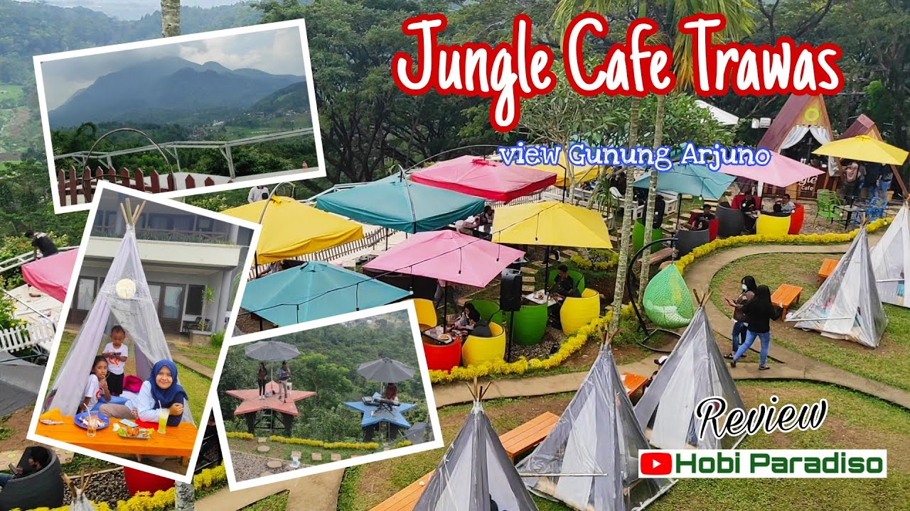 Jungle cafe trawas : kafe viral di mojokerto yang instagramable dengan ...