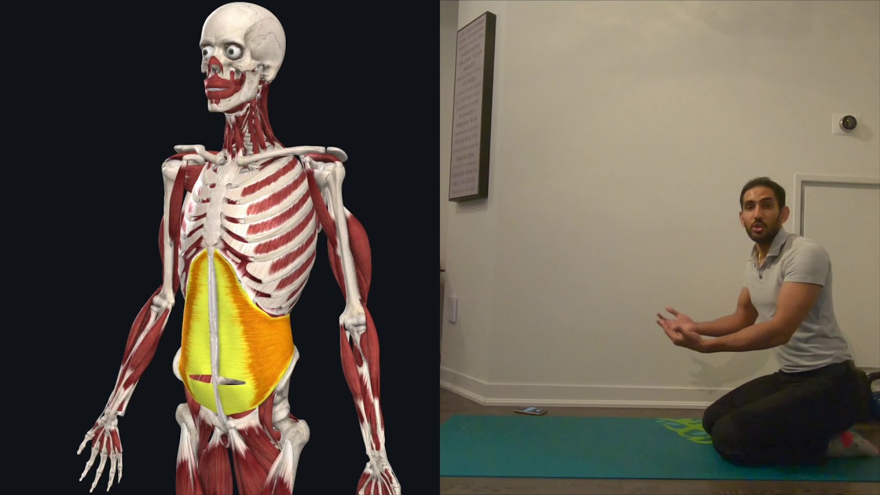 Advanced Core - Tall Planks with Leg lifts - YouTube