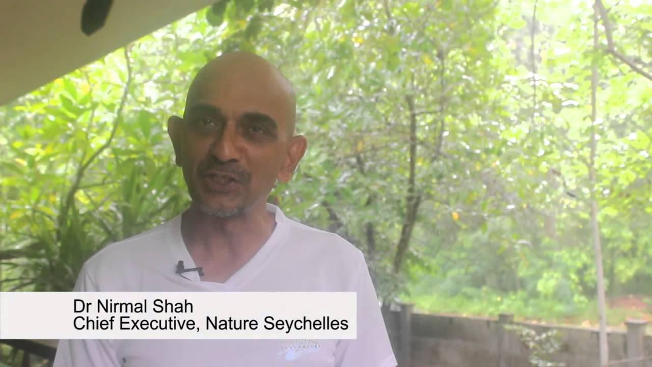 Steve Leonard introduces Trouble In Paradise - YouTube