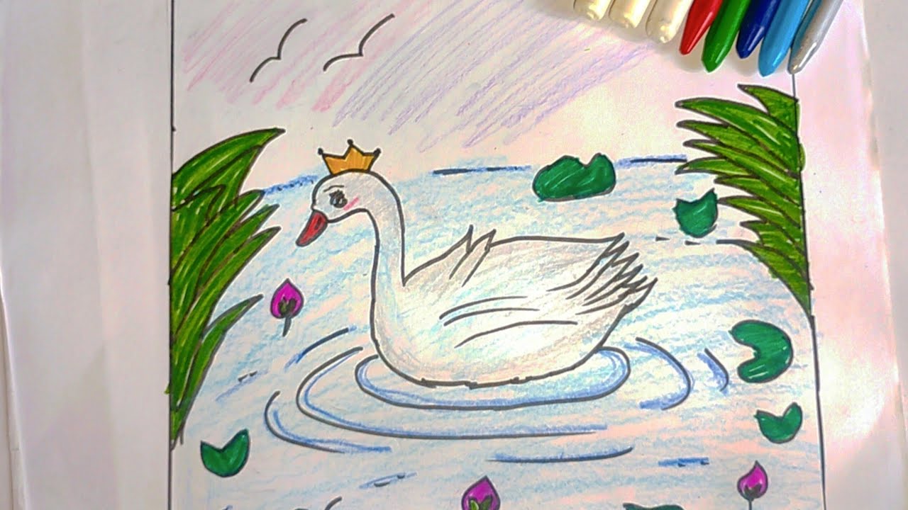 How to draw swan| step by step|Easy way to draw swan| step by step for ...
