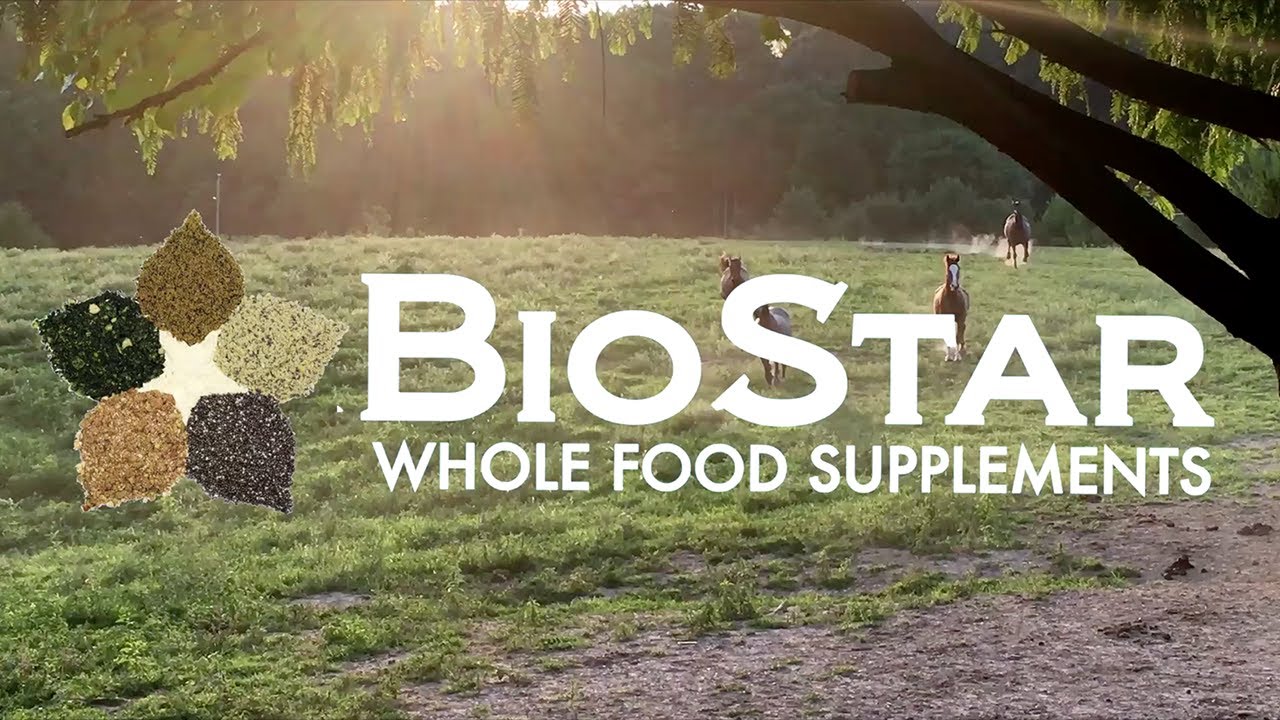 BioStar US - Whole Food Supplements - YouTube