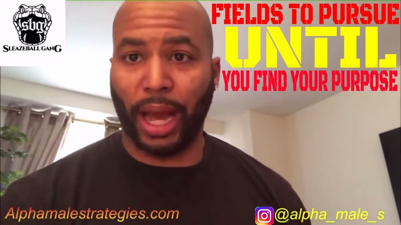 Fields To Pursue Until You Find Your Purpose (Alpha Male Strategies ...