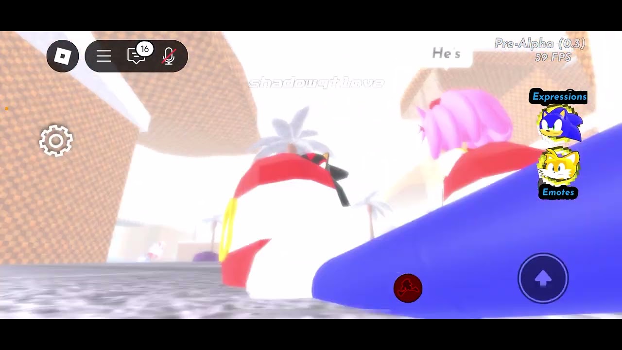 Roblox: Sonic Dream Adventure RP: Update: a little misunderstanding ...