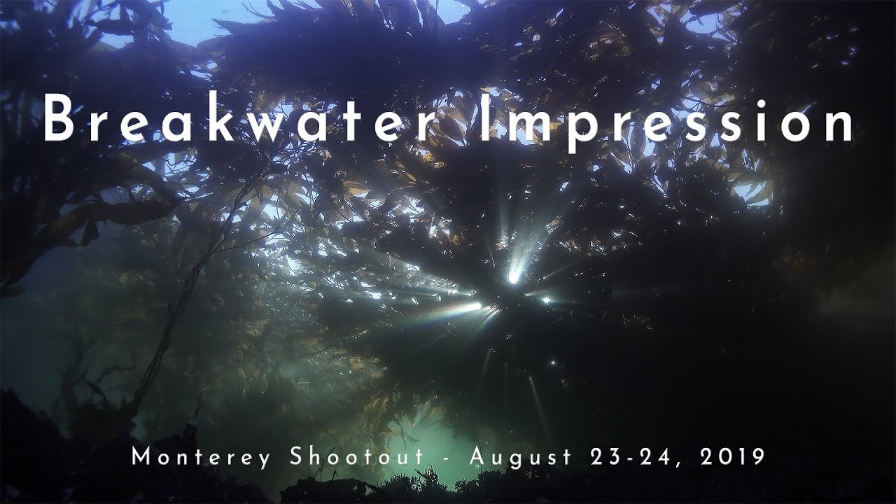 Dive Breakwater at Monterey, CA - Monterey Shootout by Backscatter ...