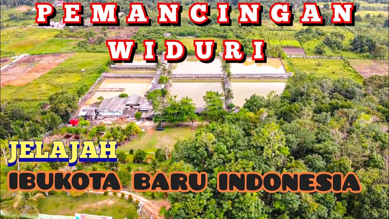 PEMANCINGAN WIDURI‼️EXPLORE IBUKOTA BARU INDONESIA - YouTube