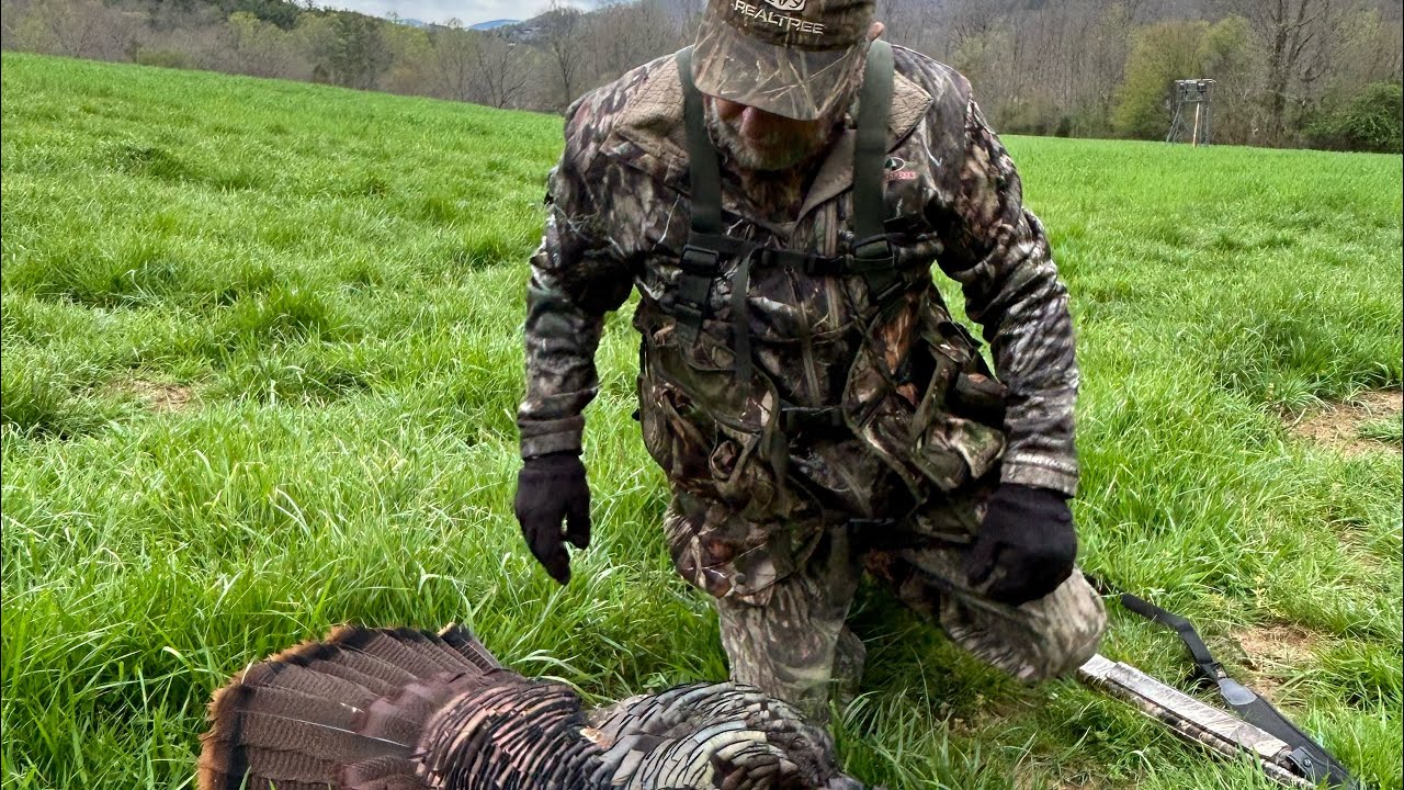CRAZY Turkey Hunt (Decoying Action) - YouTube