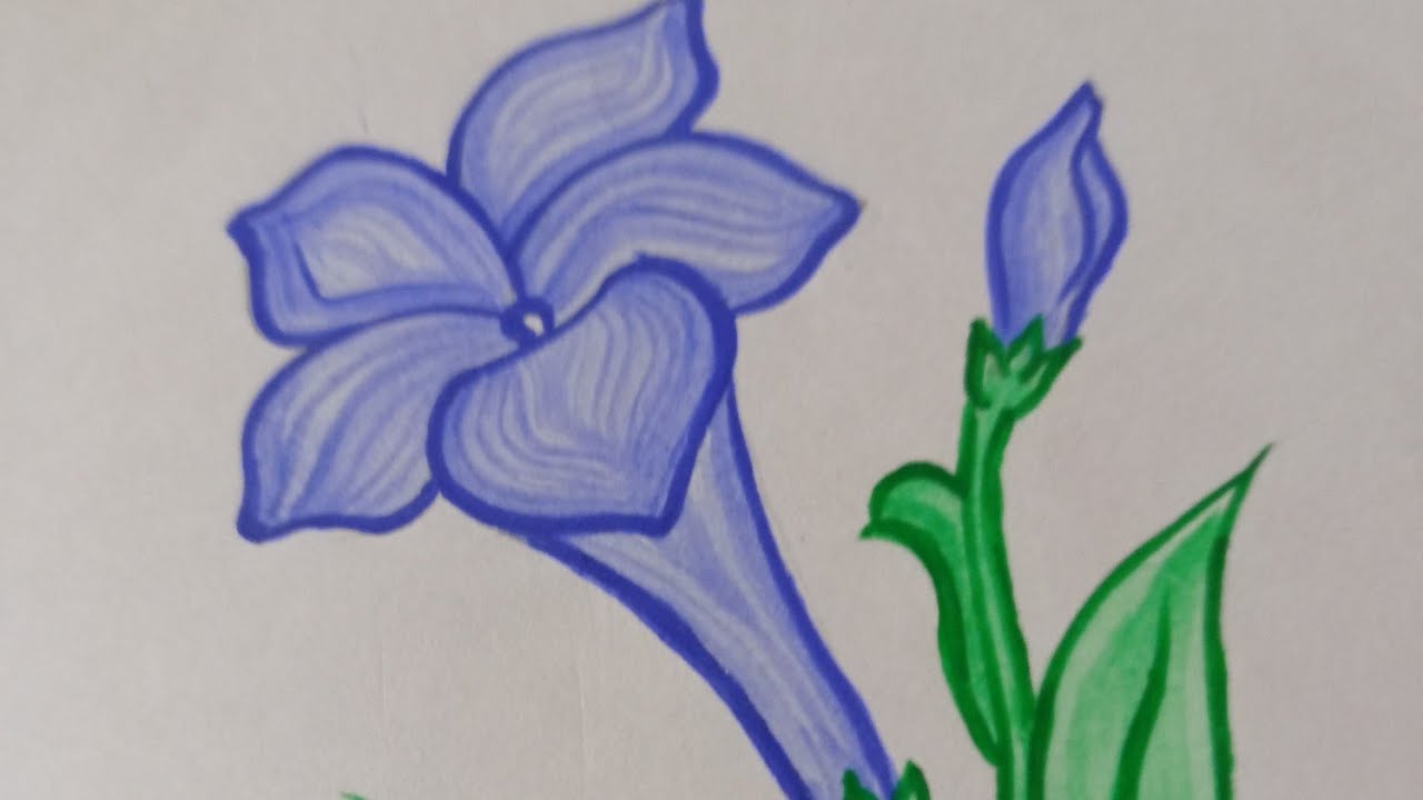 Draw flower kaner made by me 😍😍👌👌👌#drawing #sketch #saurabh joshi art ...