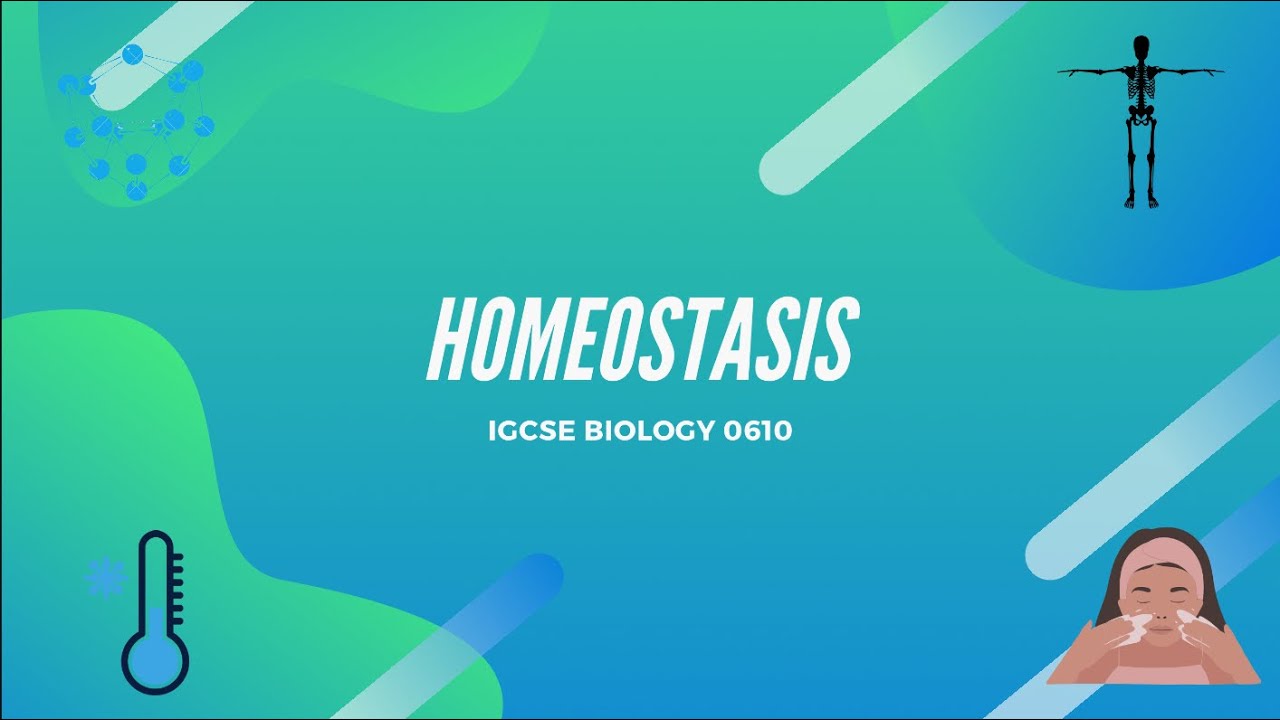 CAMBRIDGE IGCSE BIOLOGY 0610 - Homeostasis - YouTube