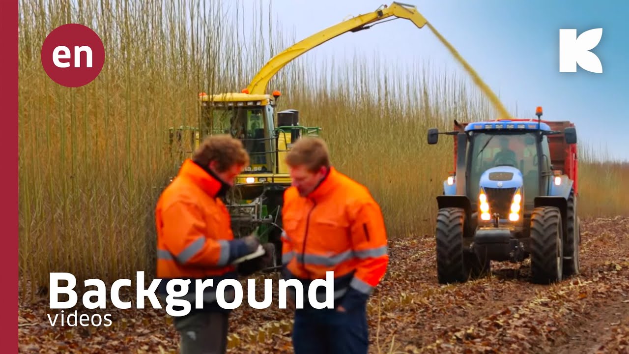 Short-rotation forestry and woodland in 90 seconds - YouTube