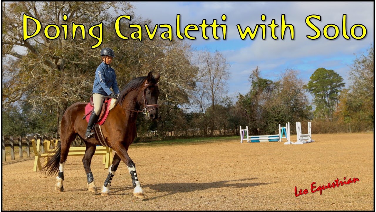 Jumping Cavaletti With Solo #horse #horseriding #animalshorts - YouTube