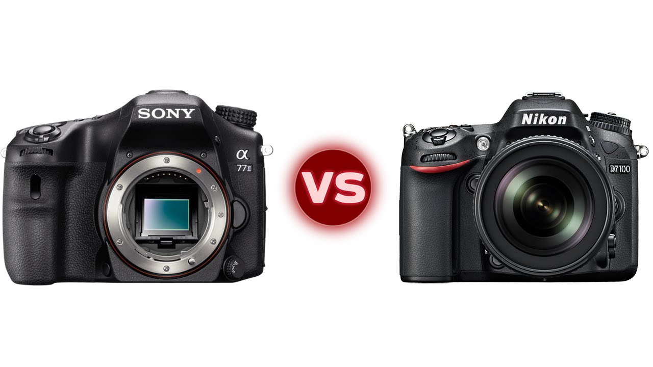 Sony A77 II Vs Nikon D7100 YouTube sony-a77-ii-vs-nikon-d7100-youtube