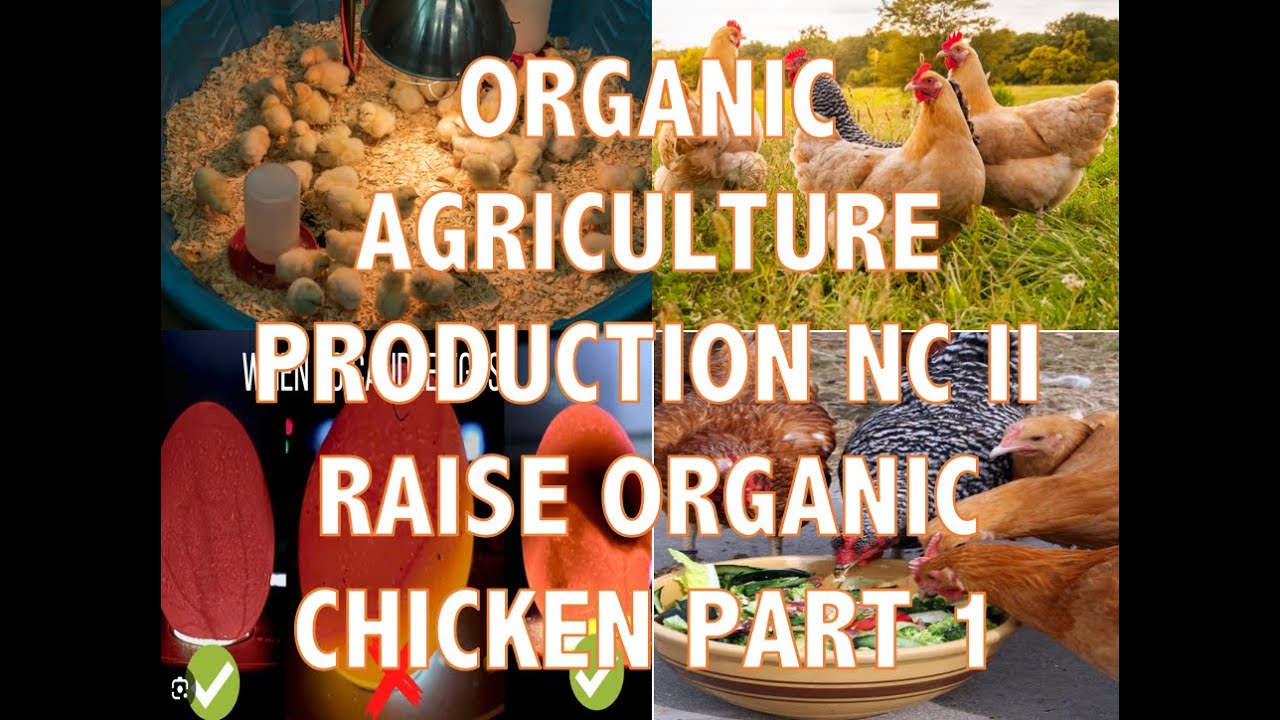 UPDATED!! OAP NC II REVIEWER Organic Agriculture Production NC II ...