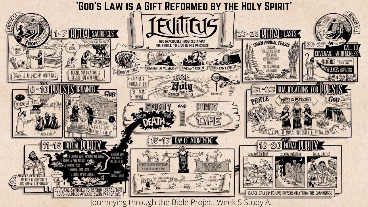Journeying through the Bible (Project) Study of Leviticus 19:13-22 ...