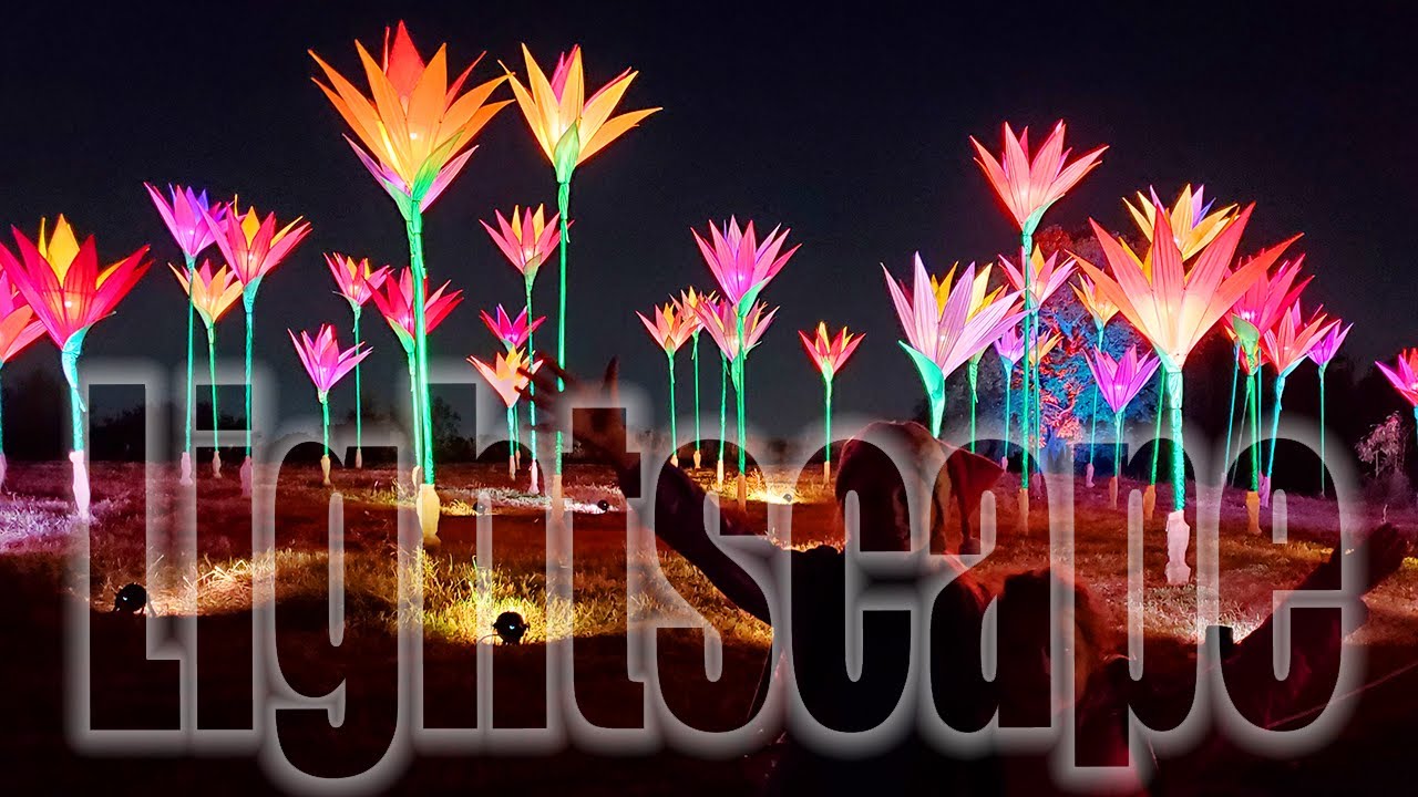 NEWEST LIGHT DISPLAY IN HOUSTON | Houston Botanic Garden Lightscape ...