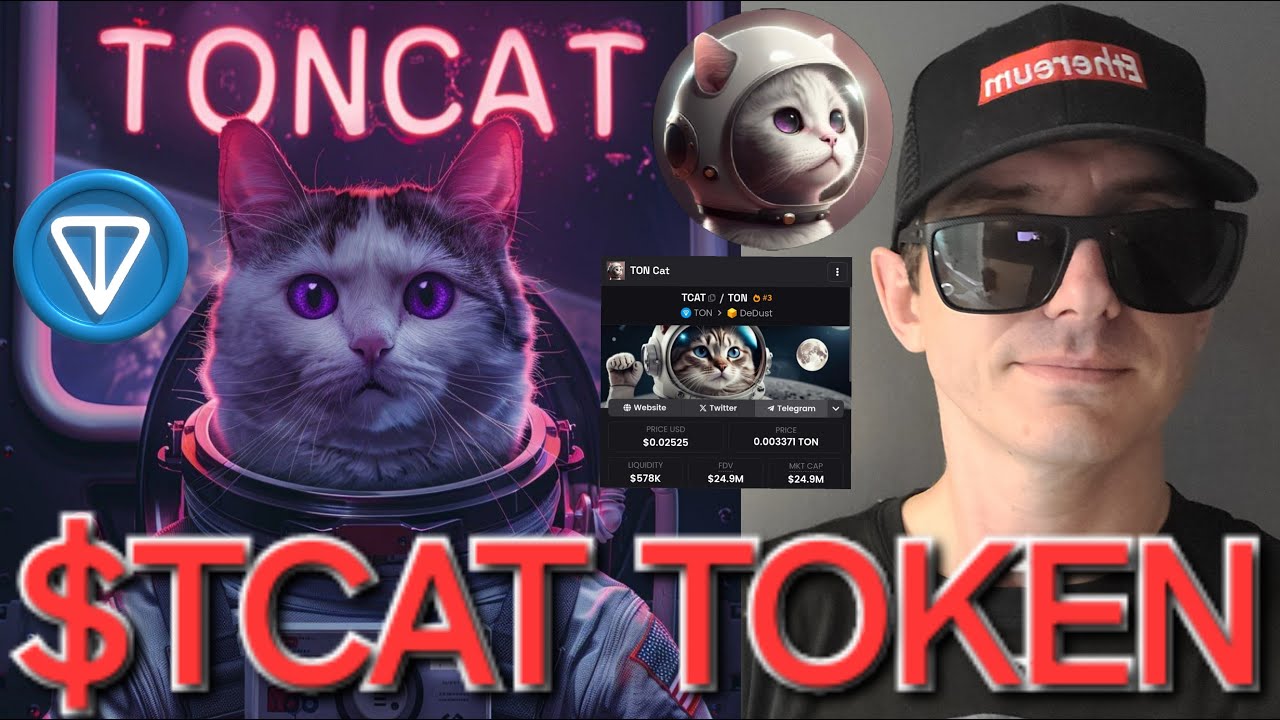 $TCAT - TON CAT TOKEN CRYPTO COIN HOW TO BUY TCAT TONKEEPER DEDUST STON ...