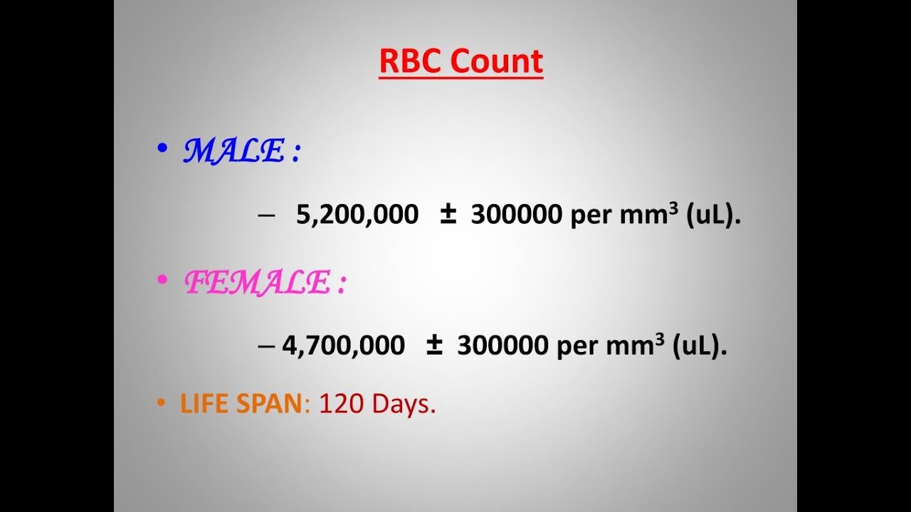 Physiological factors that decrease red blood cell count - YouTube