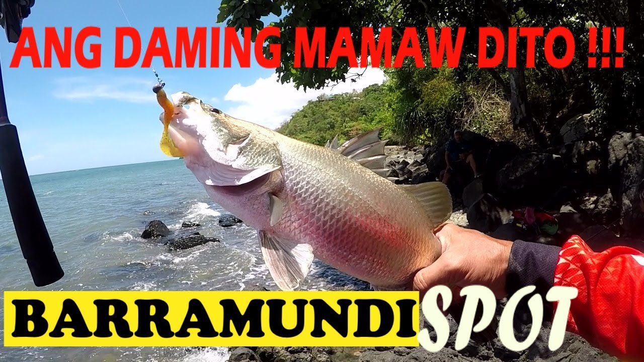 BARRAMUNDI SPOT IN AJUY, ILOILO | PURO BULGAN ANG MAHUHULI DITO | PUSIT ...