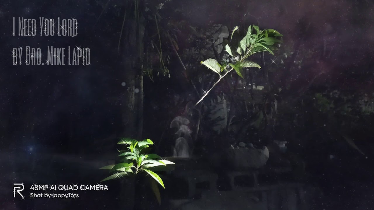 Bro Mike Lapid - I Need You Lord Akkoorden - Chordify