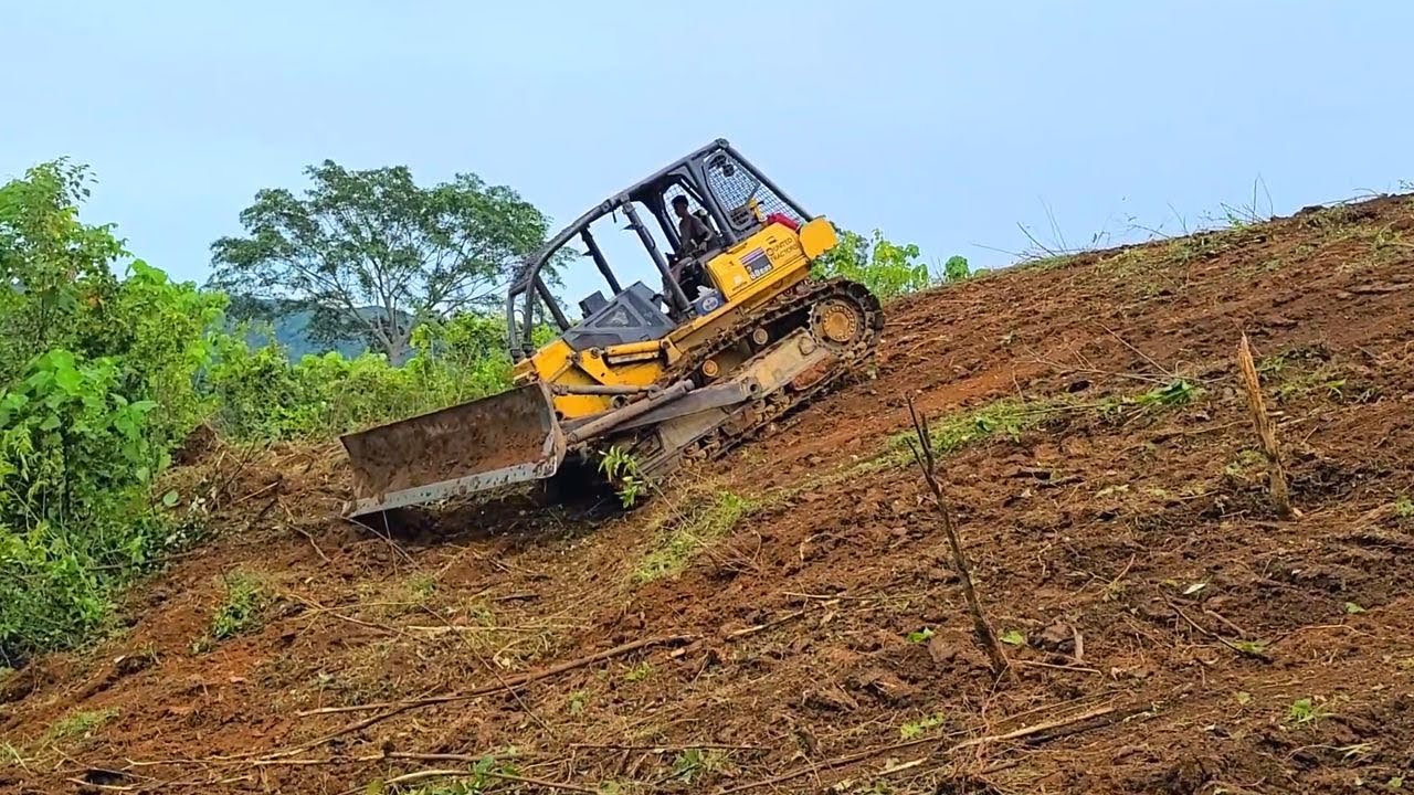 Heavy Equipment Bulldozer Clearing the Bush in The Woods - YouTube