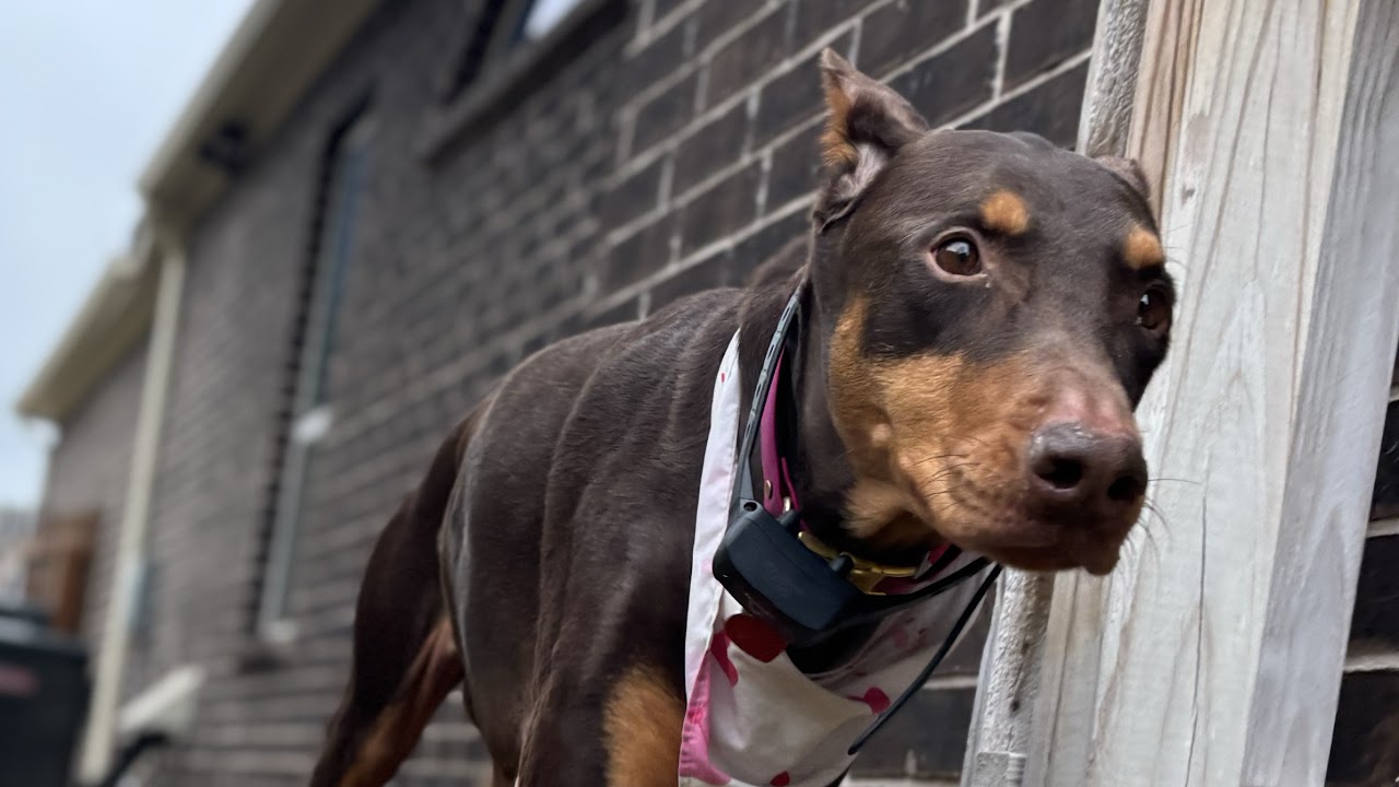 Random stream - YouTube