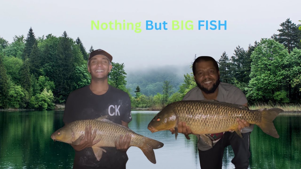 BIG FISH ALL NIGHT (2 NEW PB’s) #carp #fish #catfish #fishing # ...