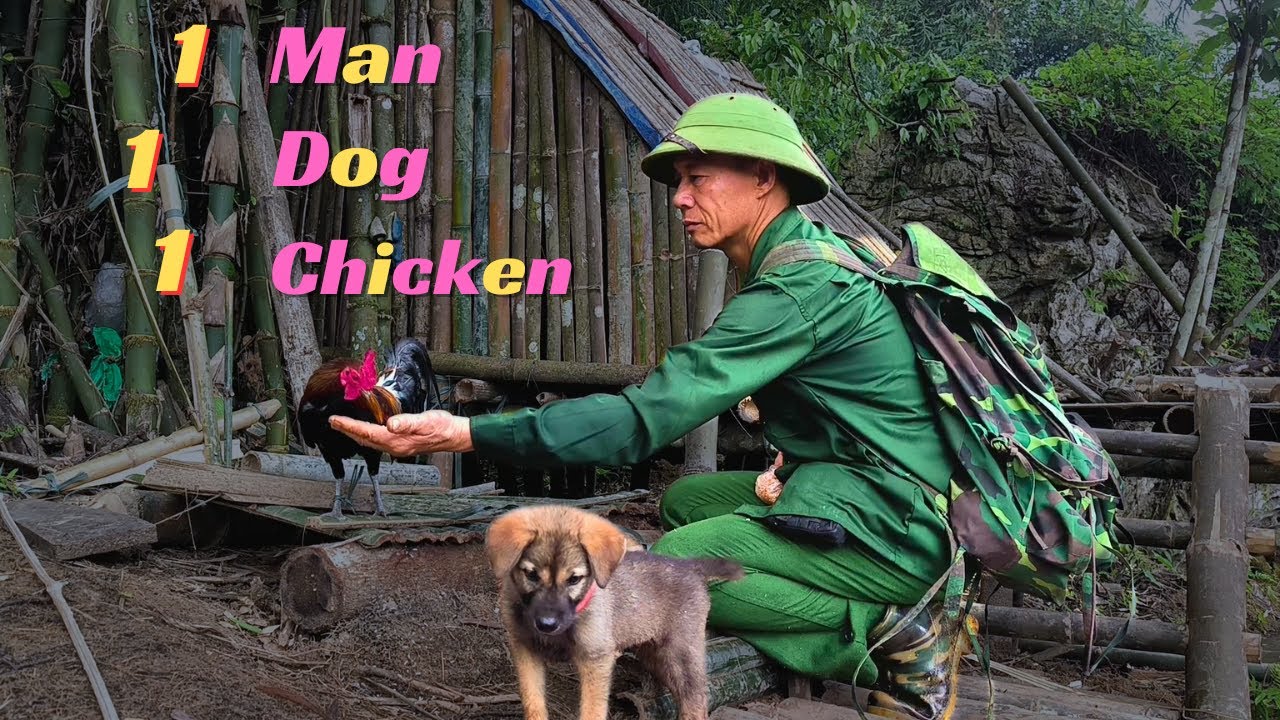 One man, One dog and One chicken survive 1 year in the forest, make ...