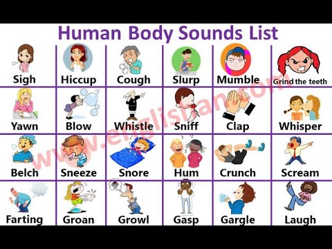 Body Sounds|Human body sound Vocabulary in English With Examples - YouTube