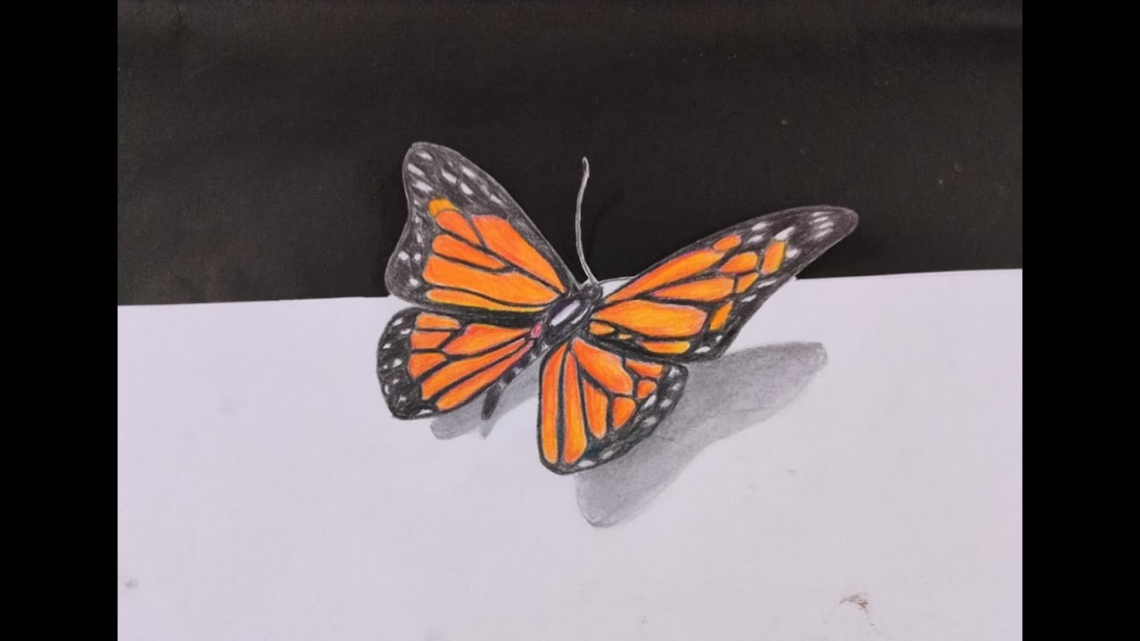 How to draw 3D butterfly |Simple 3D butterfly #16 - YouTube