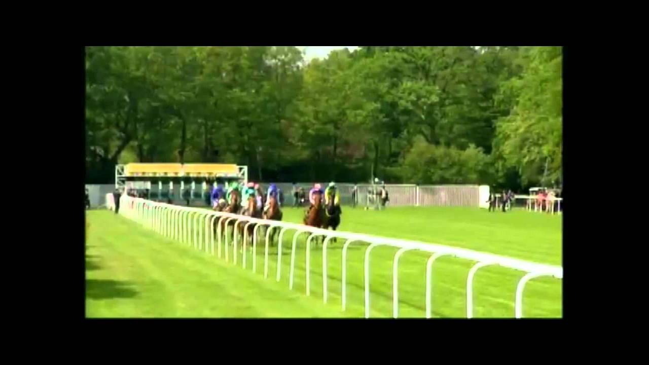 Frankel - Das schnellste Pferd - YouTube